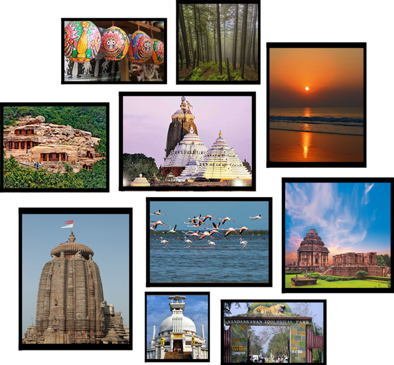 IAOMR – Indian Academy of Oral Medicine & Radiology 33rd National IAOMR ...